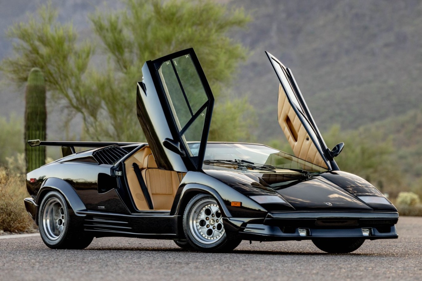 1989 Lamborghini Countach Silver Anniversary VIN ZA9CA05A6KLA12627 ...