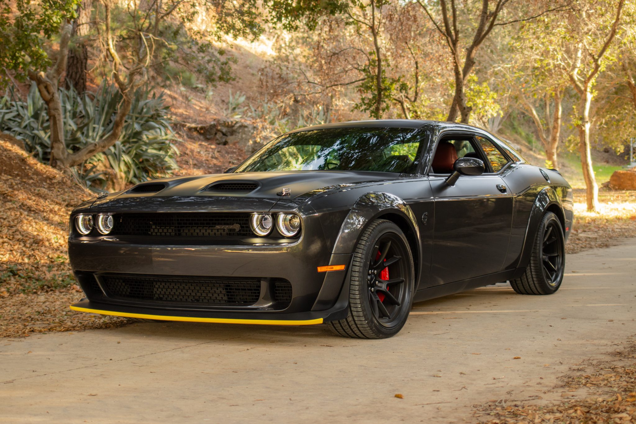 2023 Dodge Challenger SRT Hellcat VIN 2C3CDZC98PH549228 | Hagerty ...