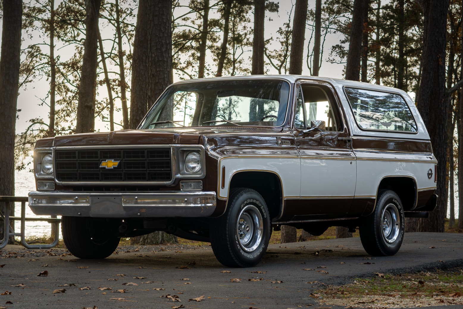 1977 Chevrolet C10 Blazer Cheyenne VIN CCU187F185165 | Hagerty ...