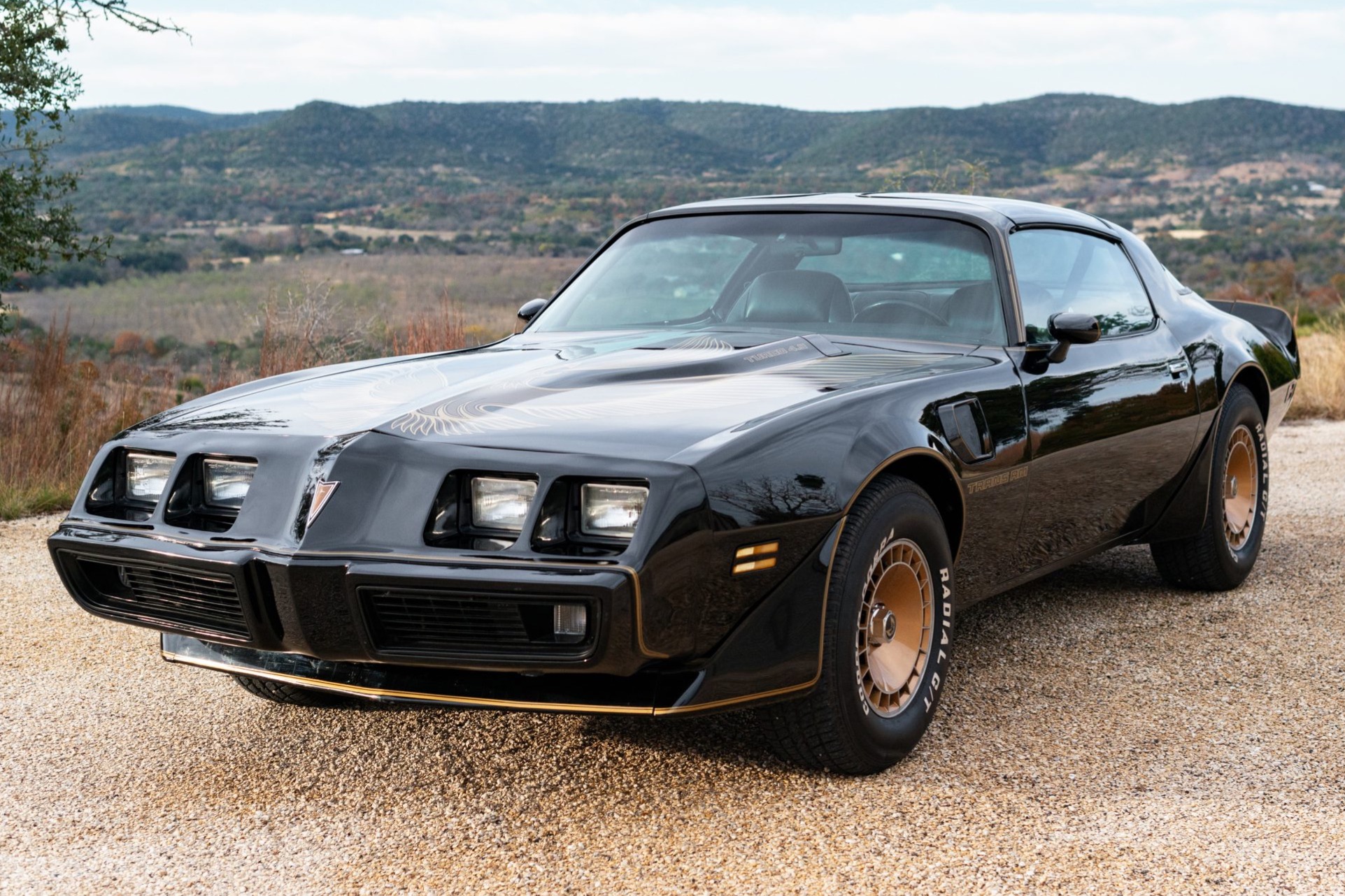 1981 Pontiac Firebird Trans Am VIN 1G2AW87T6BL137015 | Hagerty ...