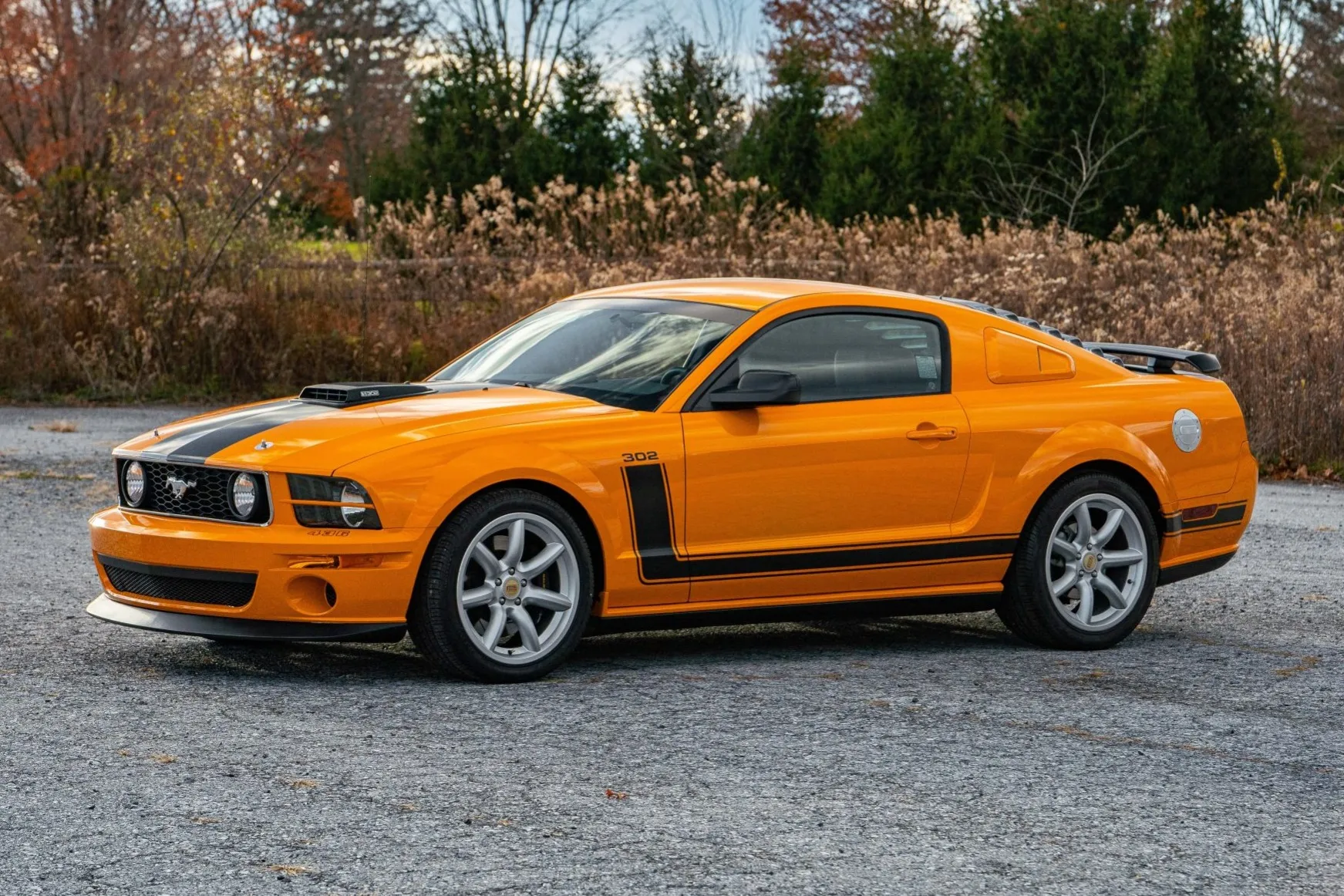 2007 Ford Mustang Saleen Parnelli Jones Edition VIN 1ZVFT82H875306179 ...
