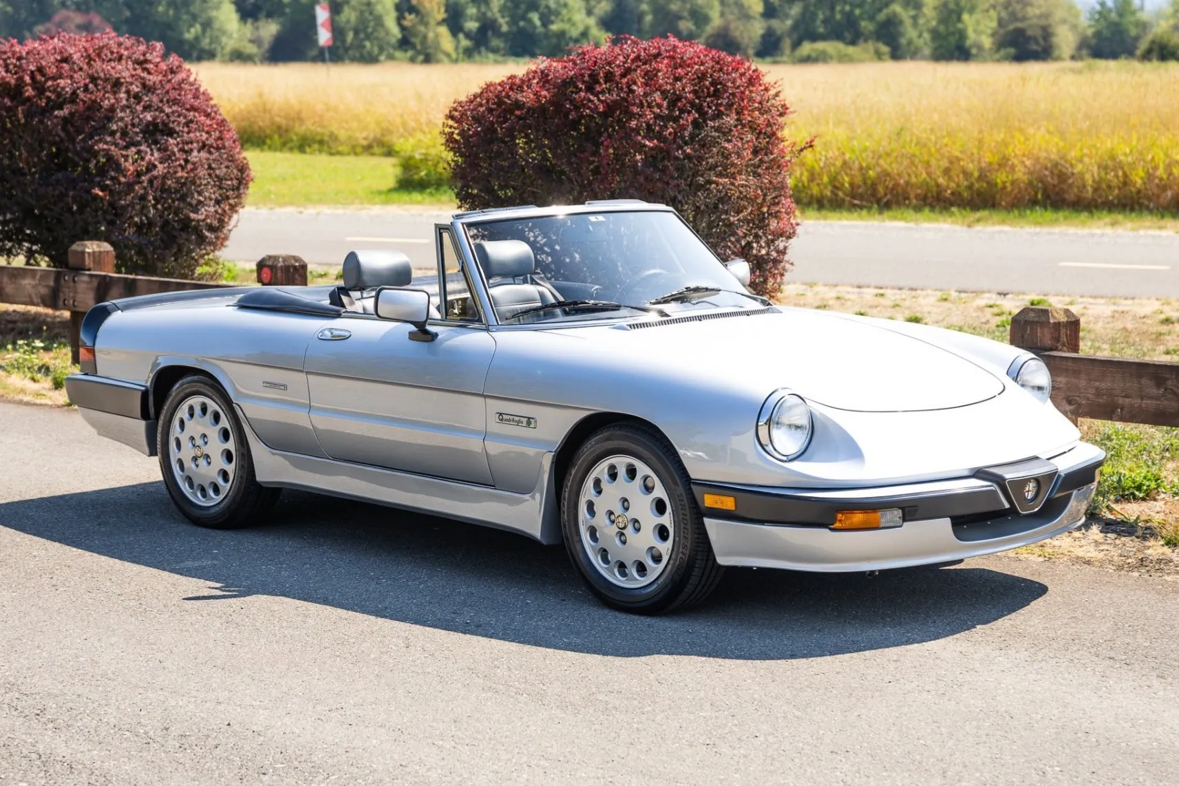 1987 Alfa Romeo Spider Quadrifoglio VIN ZARBA5564H1052212 | Hagerty ...