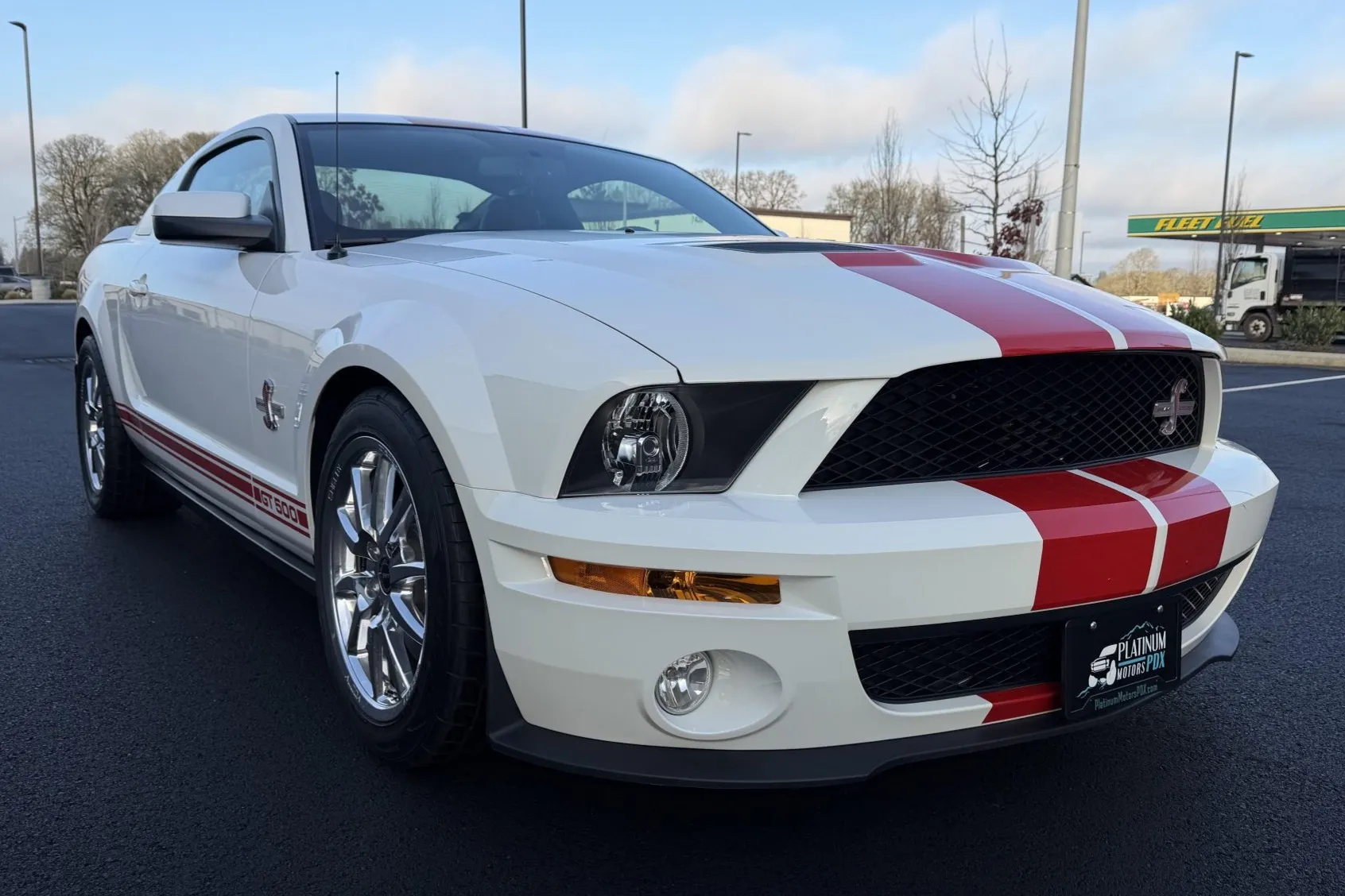2009 Ford Mustang Shelby GT500 VIN 1ZVHT88S395121407 | Hagerty ...