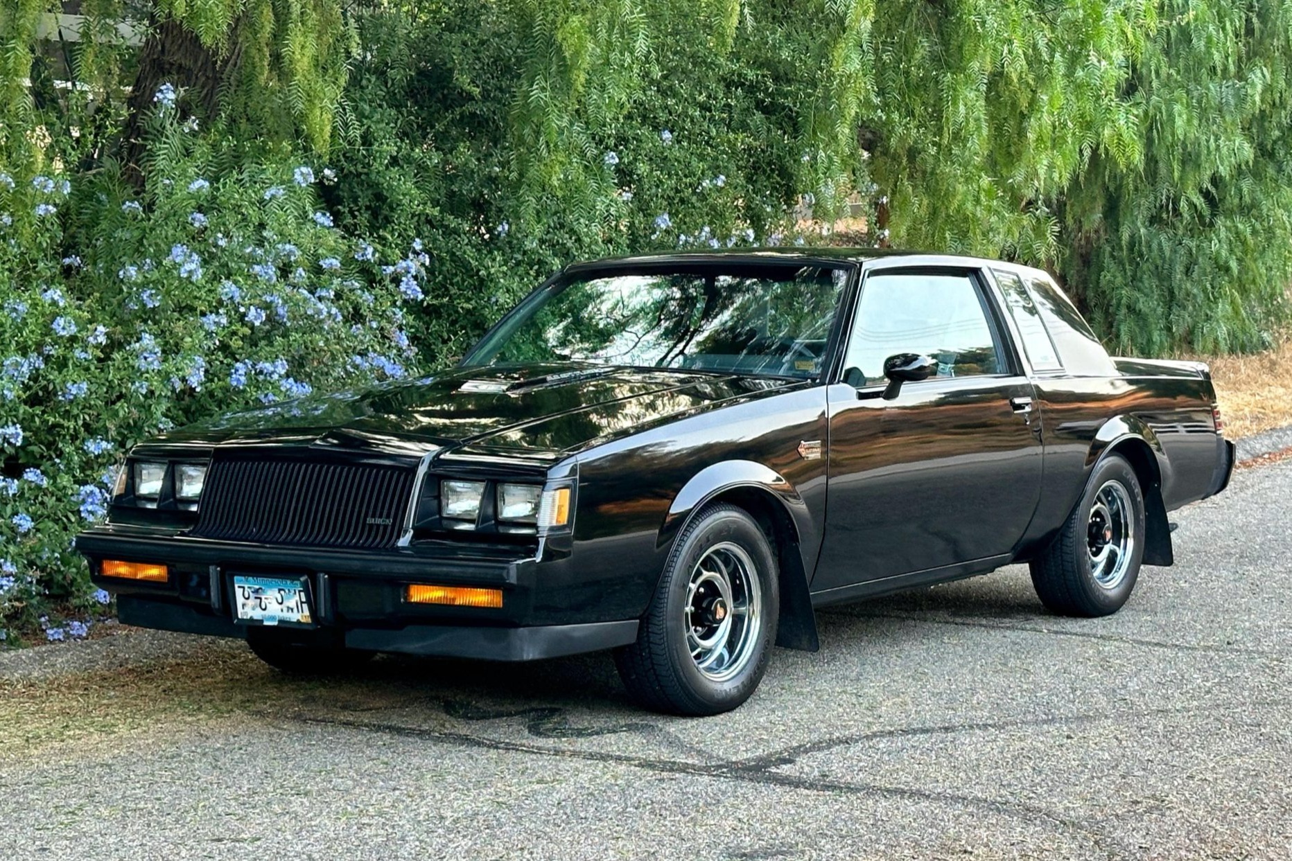 1987 Buick Regal Grand National VIN 1G4GJ1172HP439003 | Hagerty ...