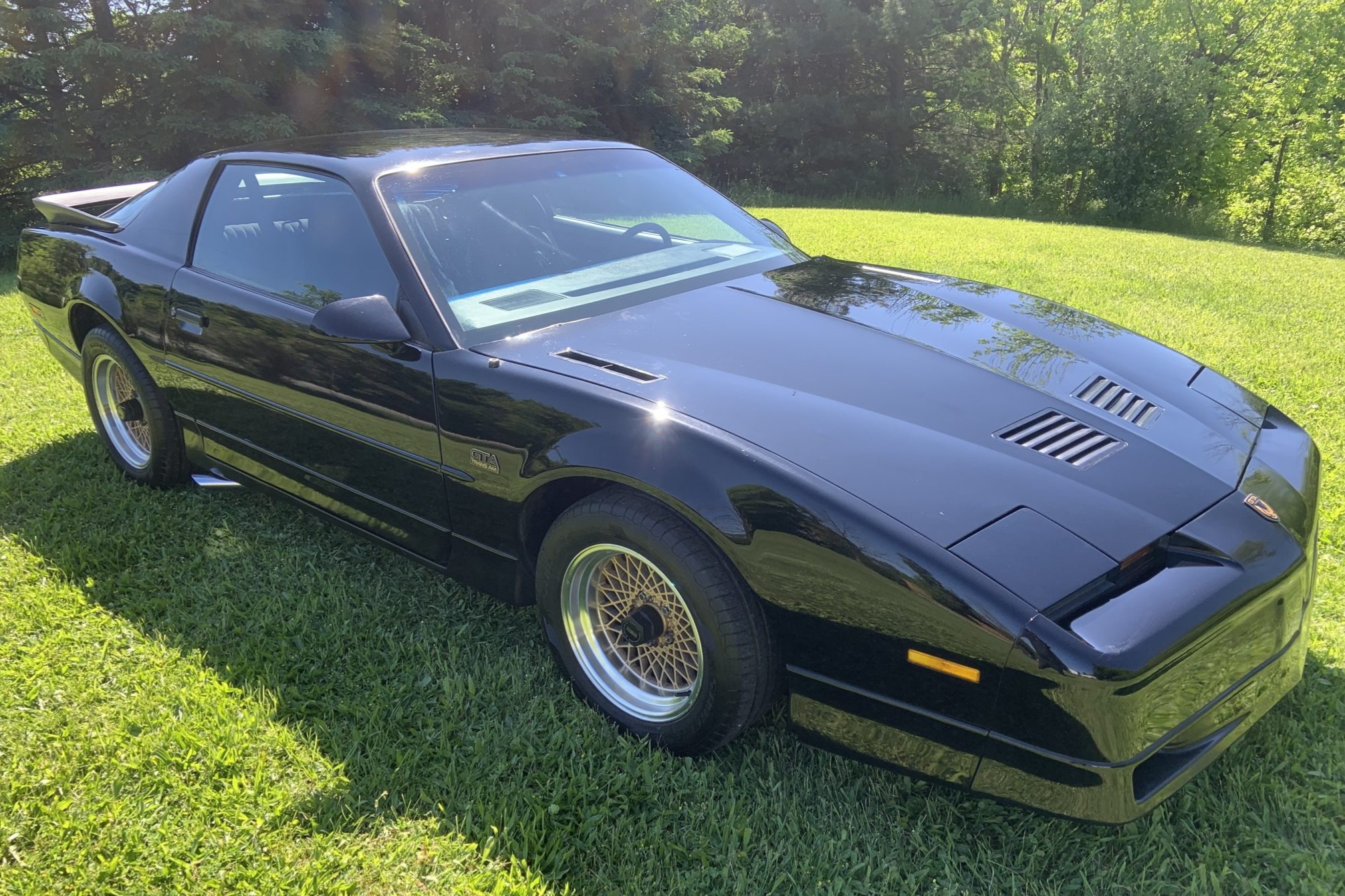 1989 Pontiac Firebird Trans Am VIN 1G2FW2185KL249022 | Hagerty ...