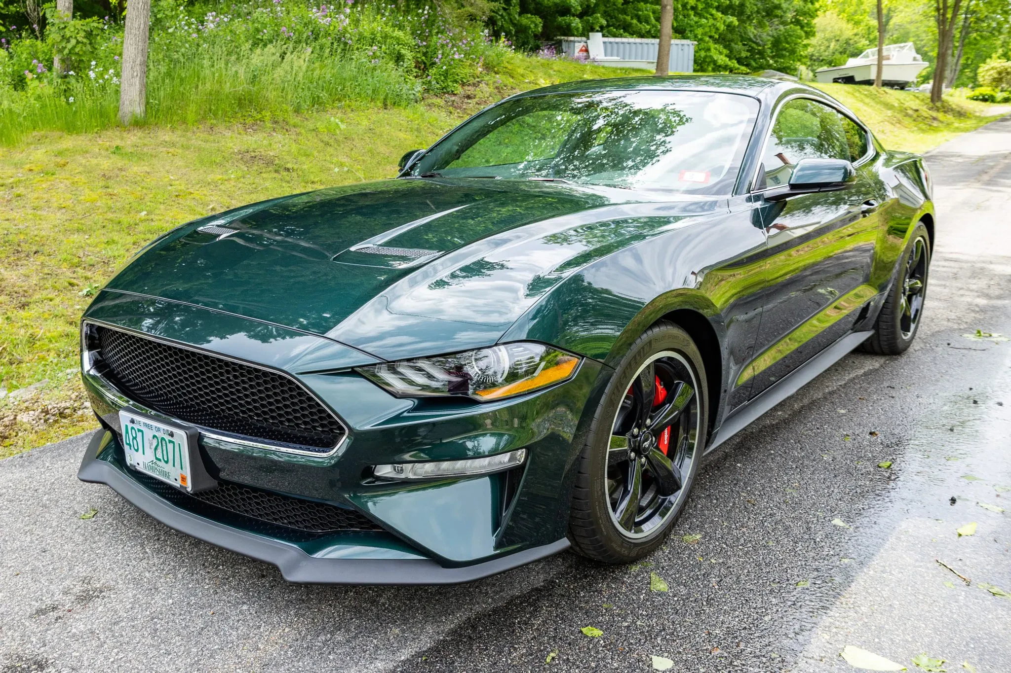 2019 Ford Mustang VIN 1FA6P8K06K5503819 | Hagerty Valuation Tools®