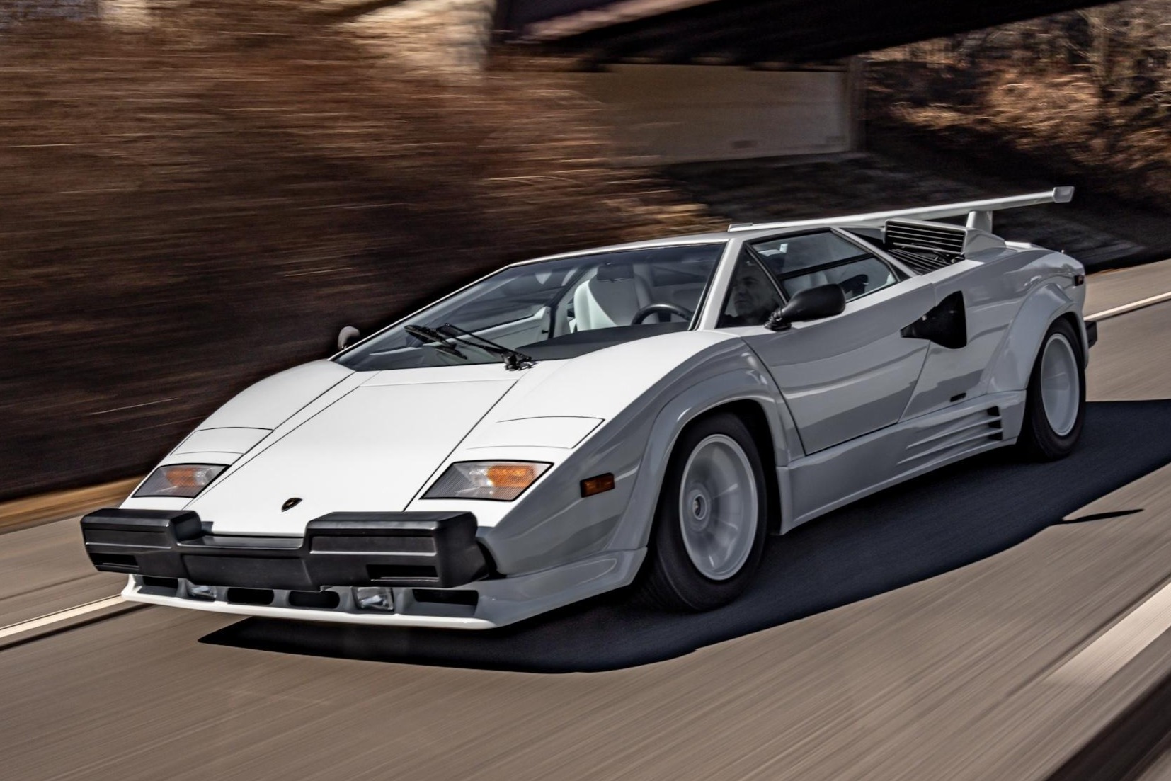 1989 Lamborghini Countach Silver Anniversary VIN ZA9CA05A9KLA12413 ...