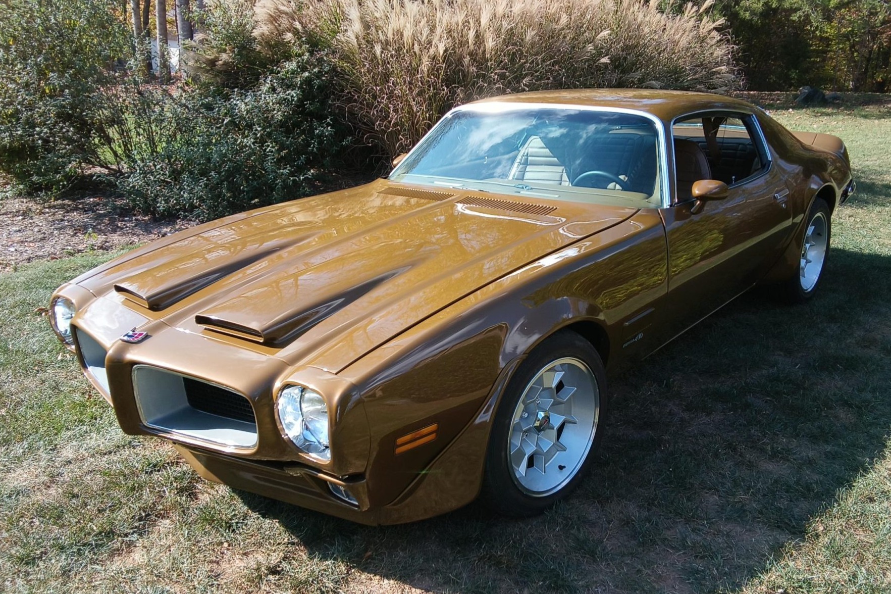 1971 Pontiac Firebird Formula 400 VIN 226871L108158 | Hagerty Valuation ...