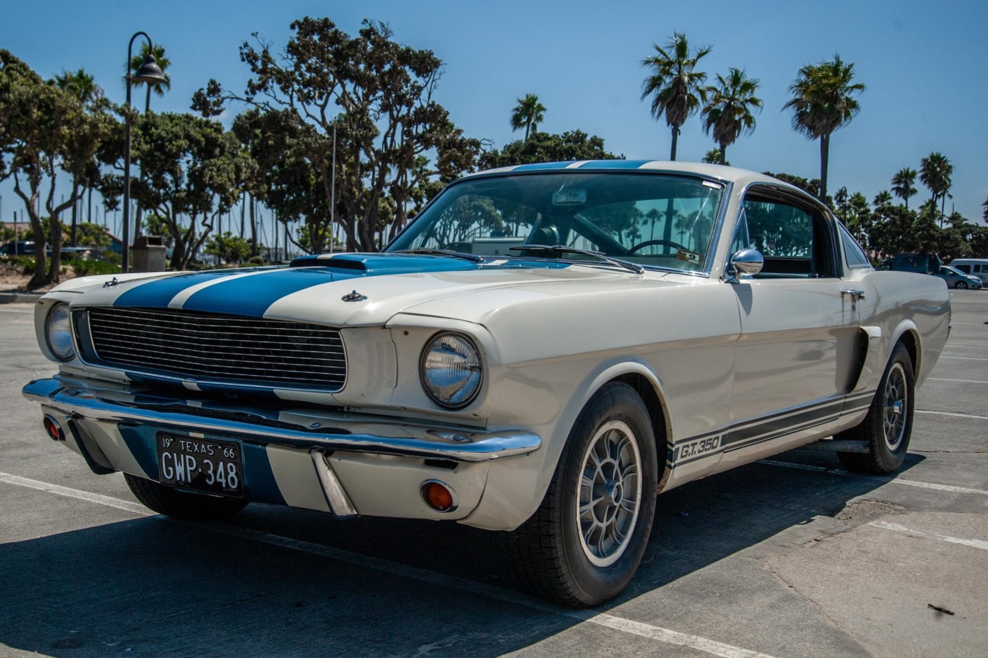 1966 Shelby GT350 VIN SFM6S348 | Hagerty Valuation Tools