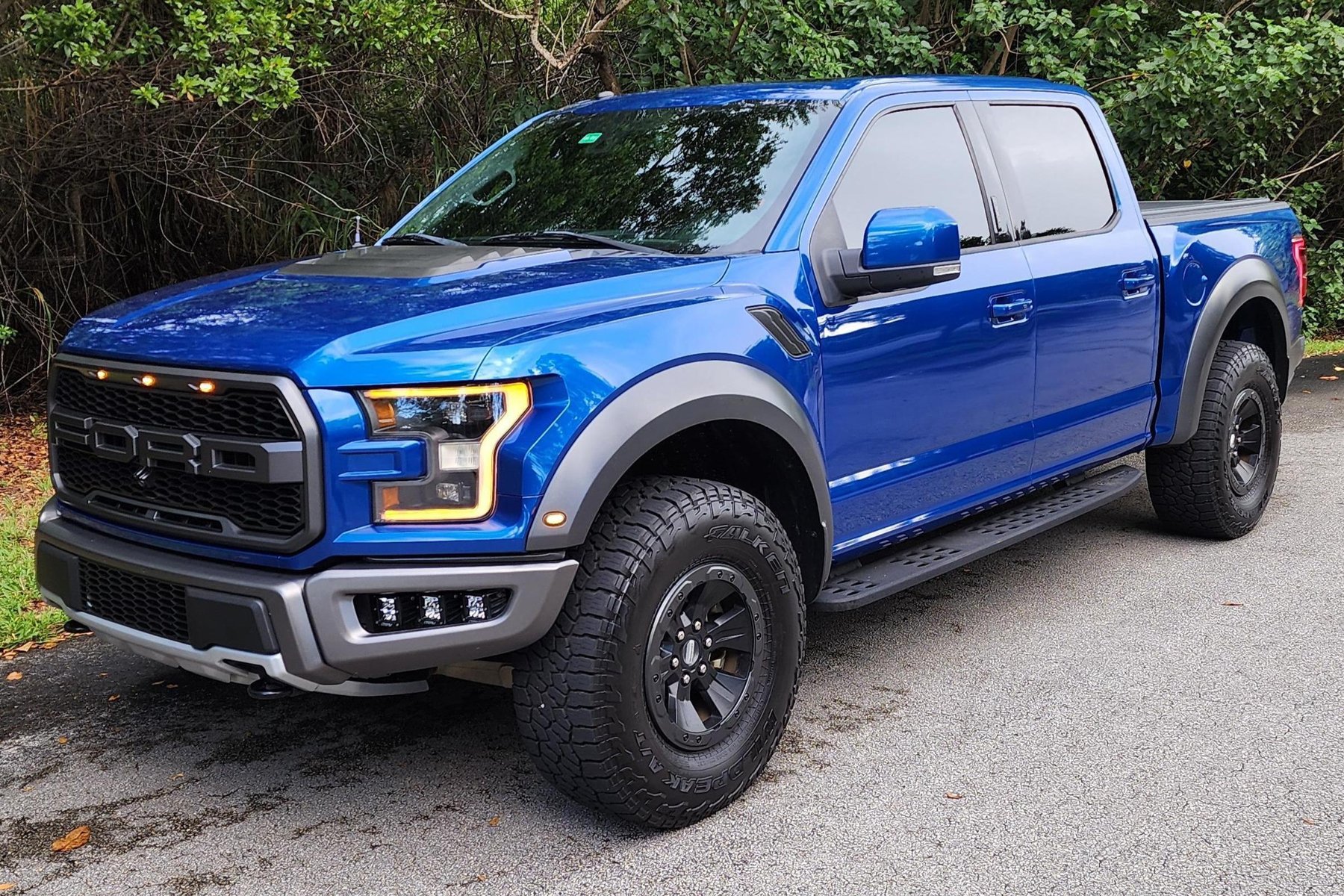 2018 Ford F-150 Raptor VIN 1FTFW1RG4JFE42566 | Hagerty Valuation Tools