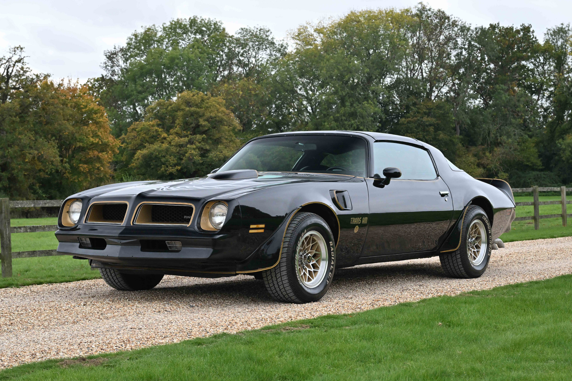 1977 Pontiac Firebird Trans Am VIN 2T87M6N595918 | Hagerty Valuation Tools